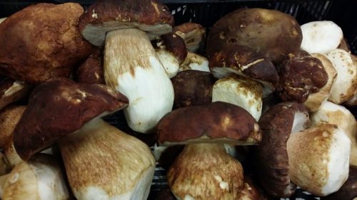 Comidas Típicas de Navarra que Deberías Probar sin Dudarlo
